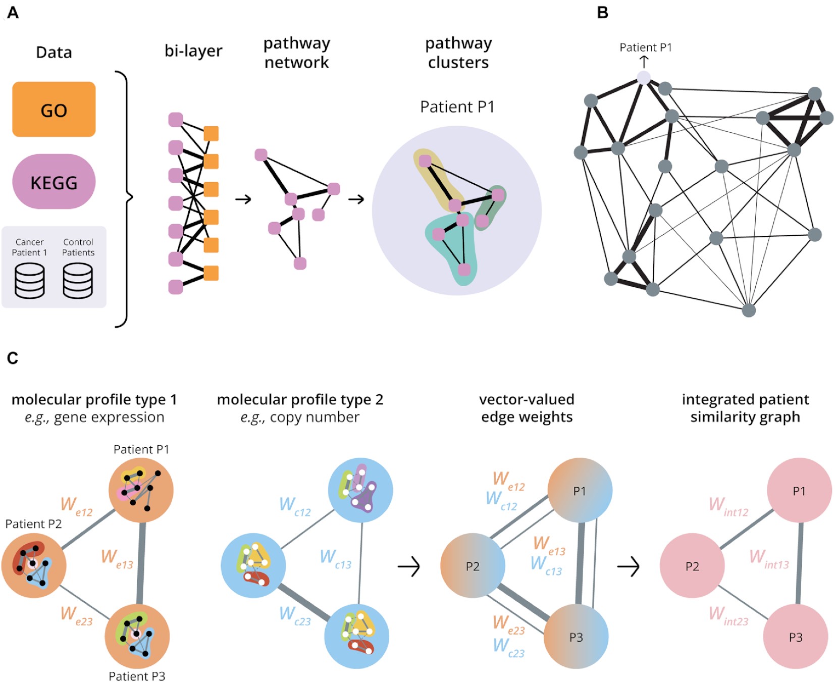 Vilon A Multi Layer Network Approach To Data Integration Demonstrated For Patient